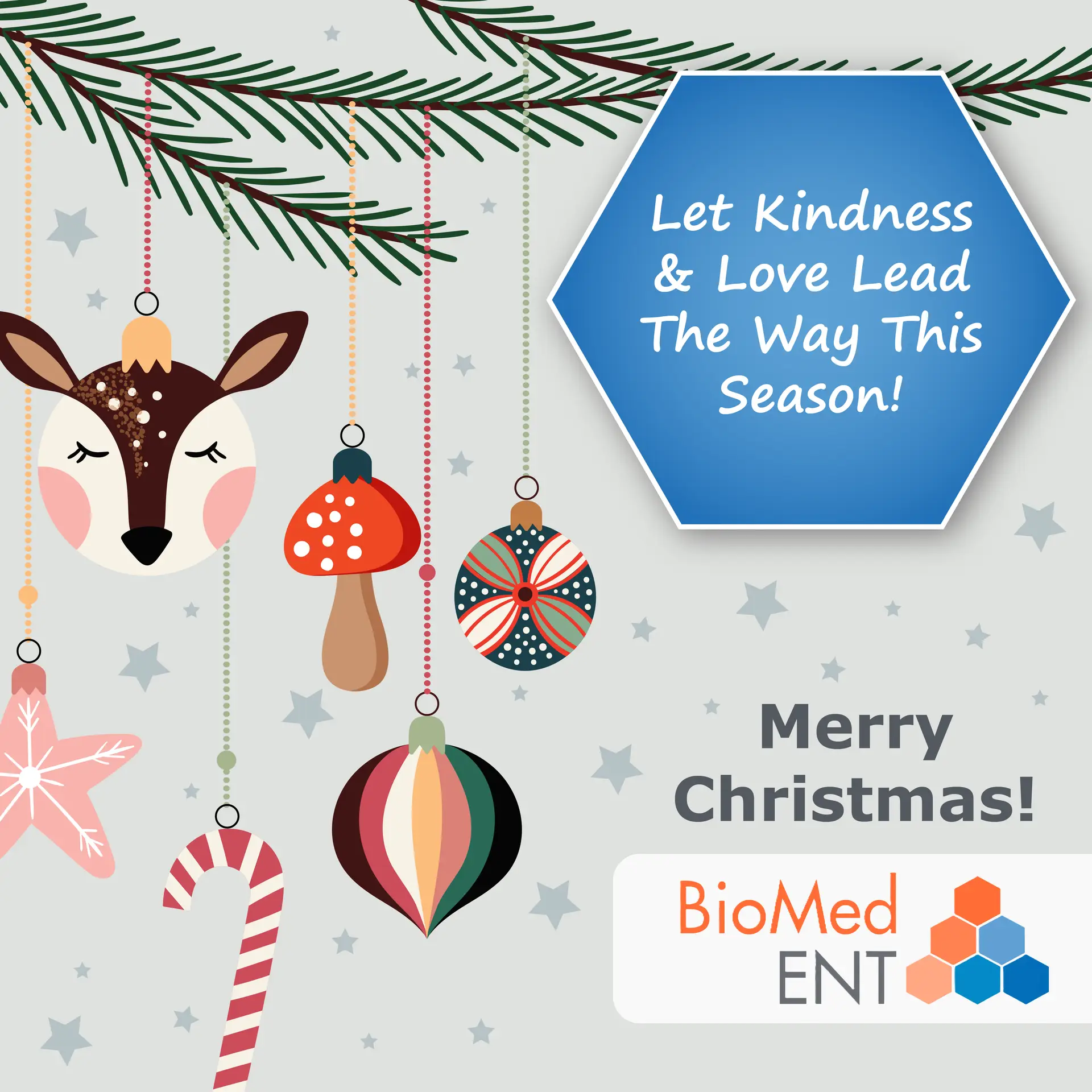 Christmas (Kerstmis) | December 25-26, 2025 - BioMed ENT