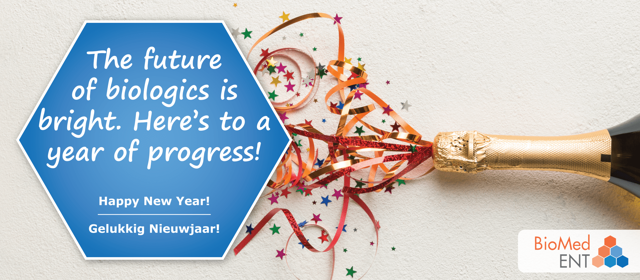 New Year’s Day (Nieuwjaarsdag) | January 1, 2026 - BioMed ENT
